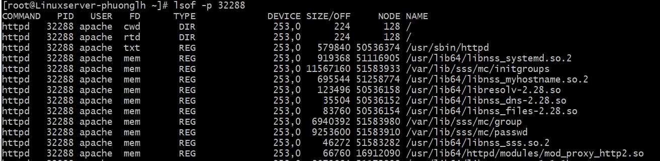 Cách Quản lý các kết nối đến máy chủ Linux với lệnh netstat, ss và lsof - Luu Ho Phuong Blog