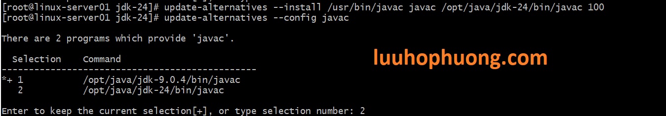 Hướng Dẫn Cách Cài Đặt Java JDK 24 Trên Linux CentOS - Luu Ho Phuong Blog