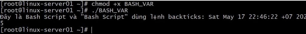 Hướng dẫn làm thế nào để viết Bash Scripting trong Linux - Luu Ho ...