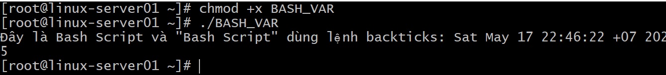 Hướng dẫn làm thế nào để viết Bash Scripting trong Linux - Luu Ho ...