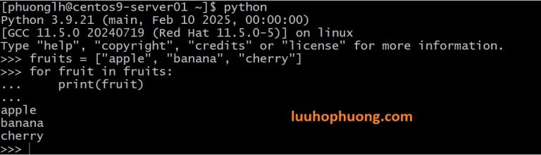 Hướng Dẫn Học Lập Trình Python Cơ Bản Từ A-Z - Luu Ho Phuong Blog