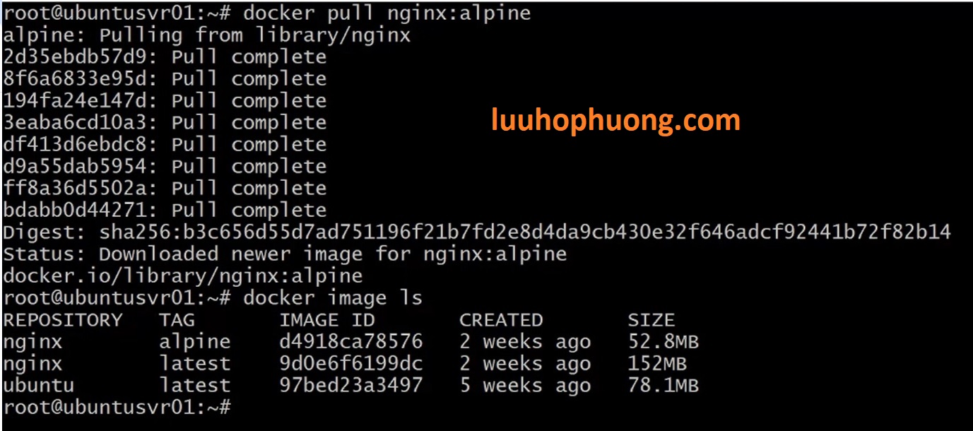 Cách Tạo Local Docker Registry và Build Image Siêu Nhẹ với NGINX Alpine - Luu Ho Phuong Blog